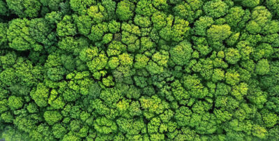 BRE Academy for Education | BRE Academy